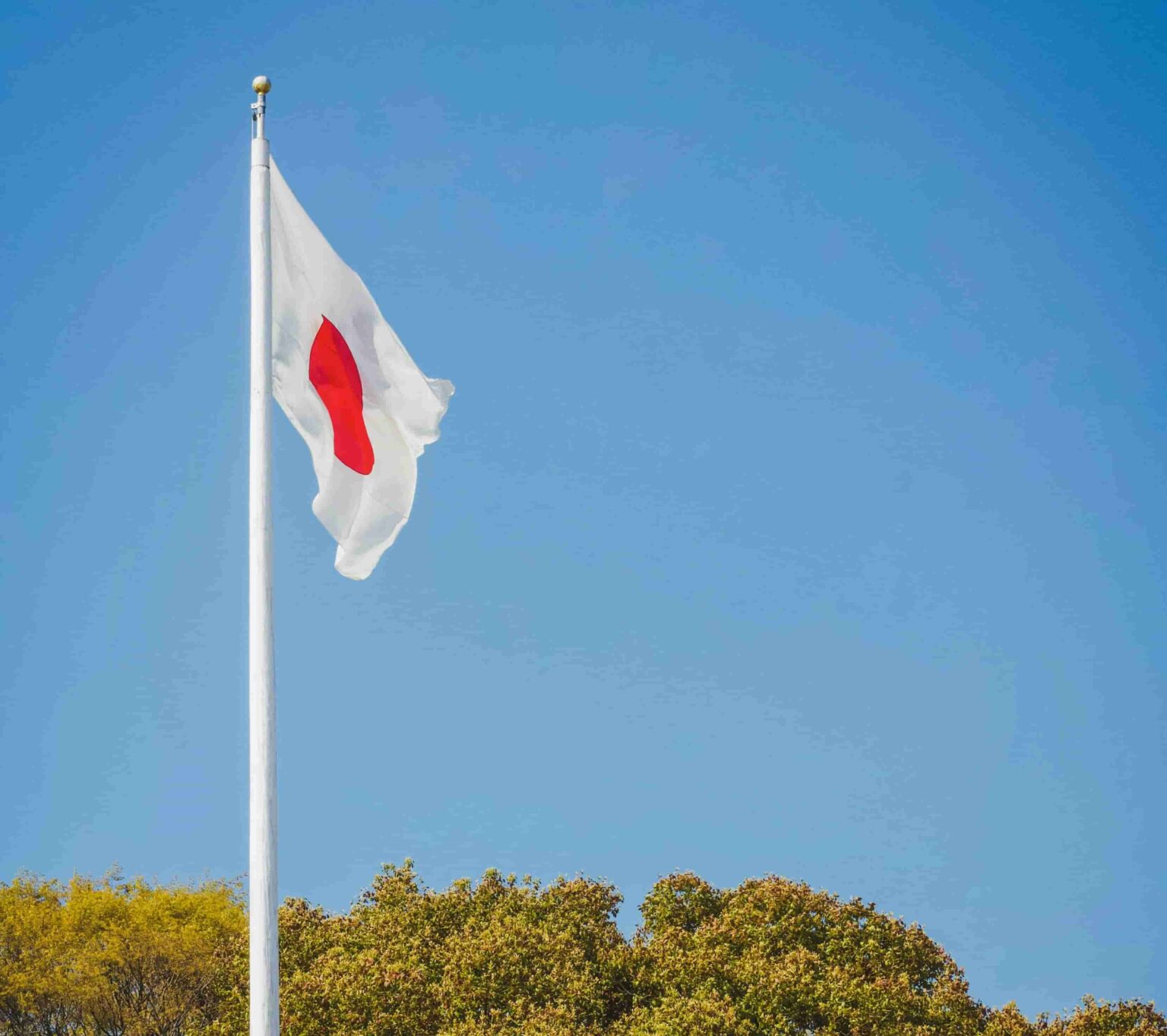 The Inspiring Stories Behind Country Flags: A Symbol of Unity